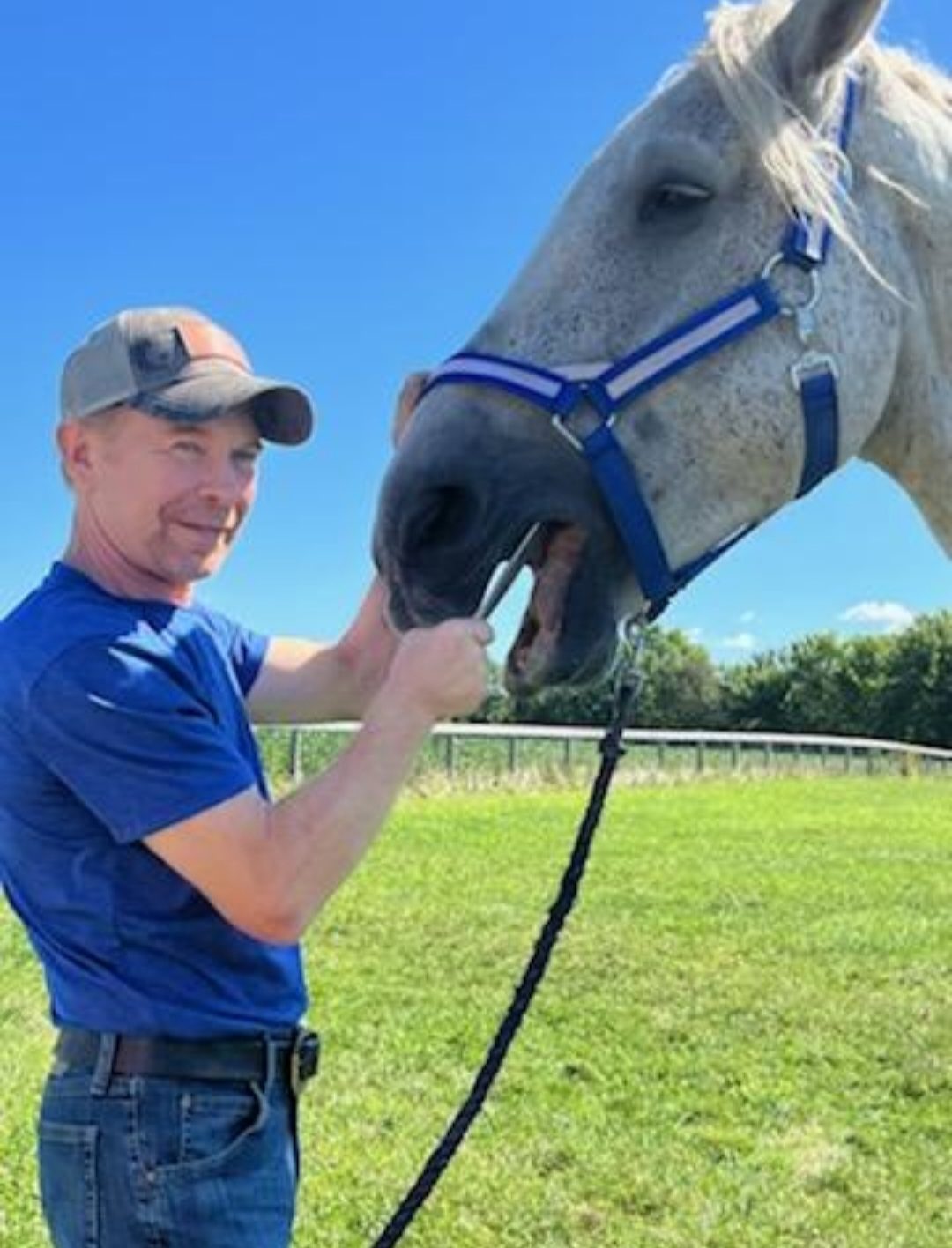 Interview with Horse Dentist – Mike Mullin - Horses 4 Your Consideration